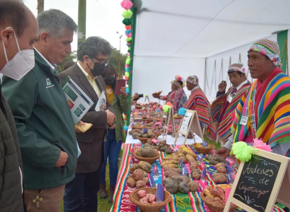 Encuentro de seis zonas de agrobiodiversidad para planificar su gestión ...